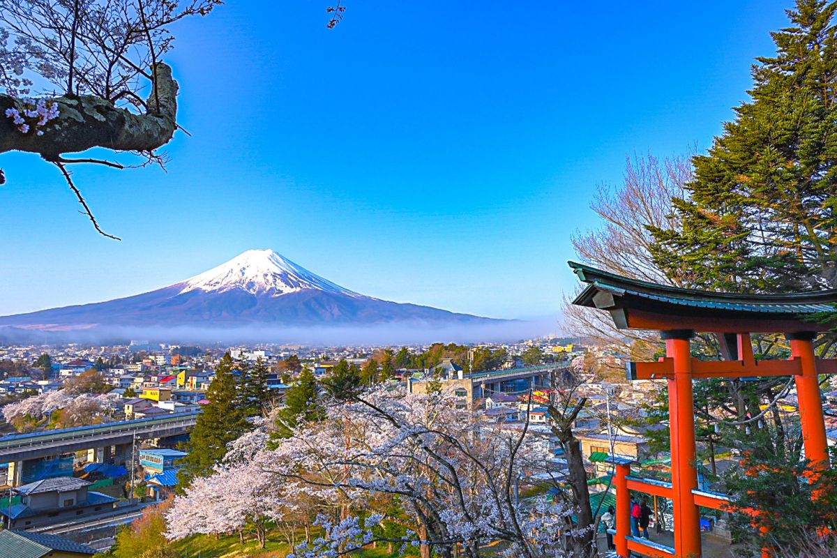 早春賦60 | GANREF