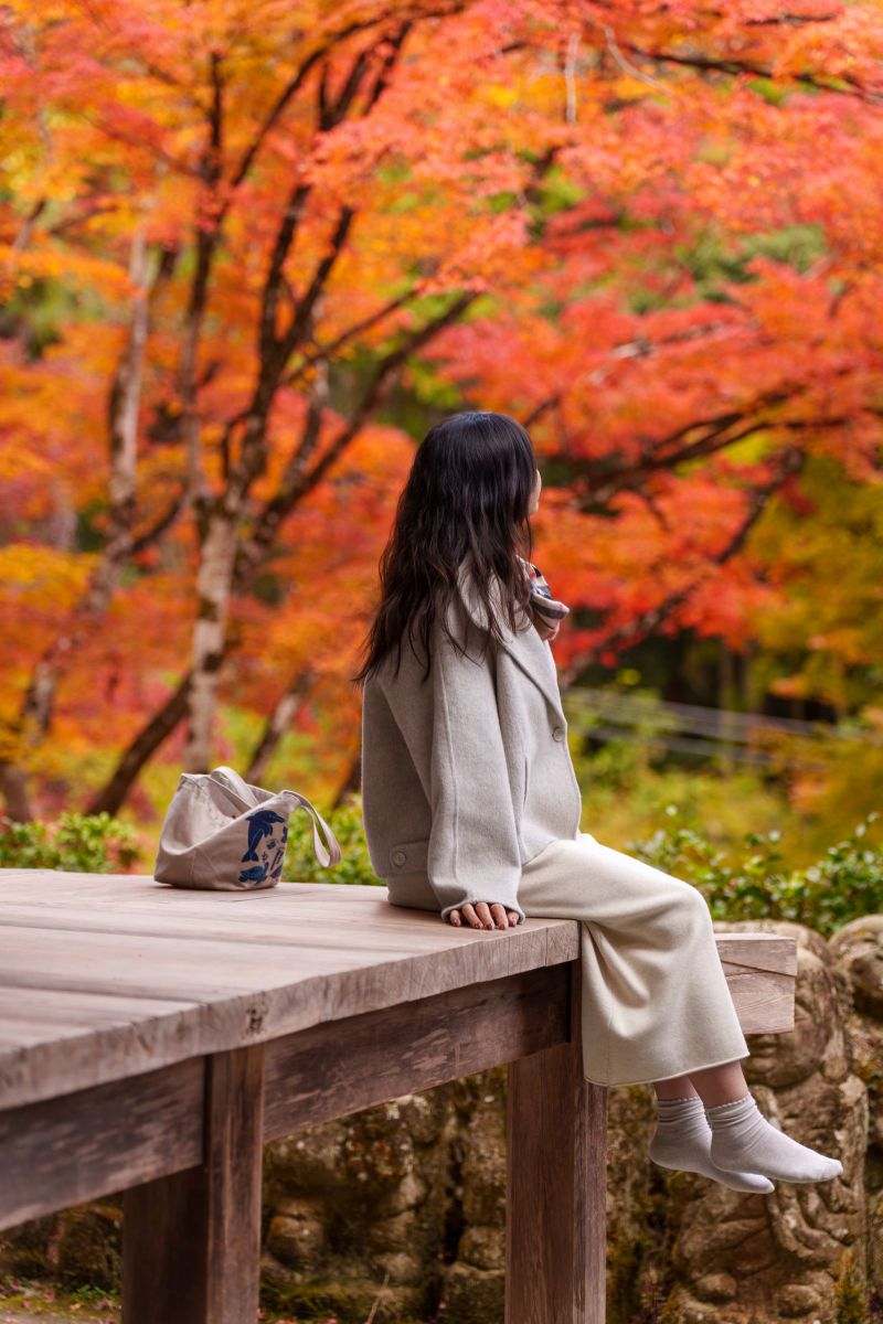 秋を愛でる | GANREF