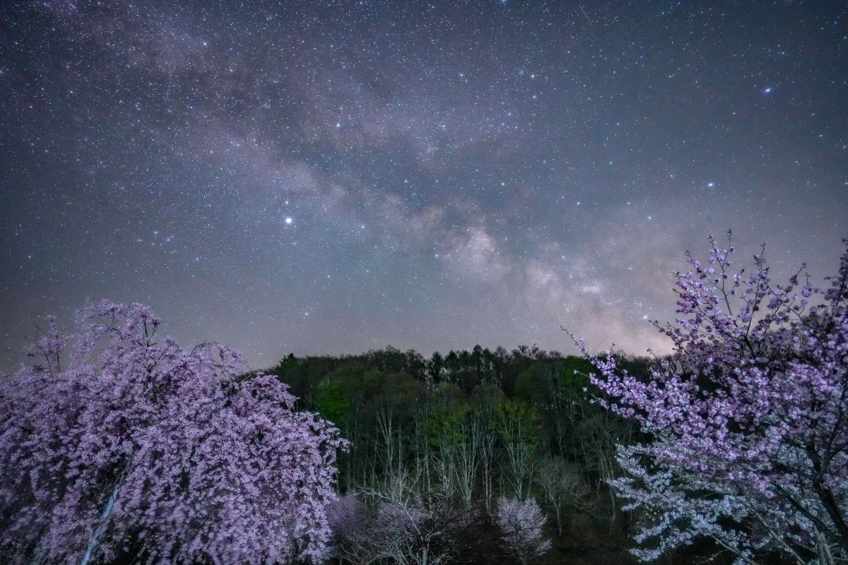 早春賦31 | GANREF