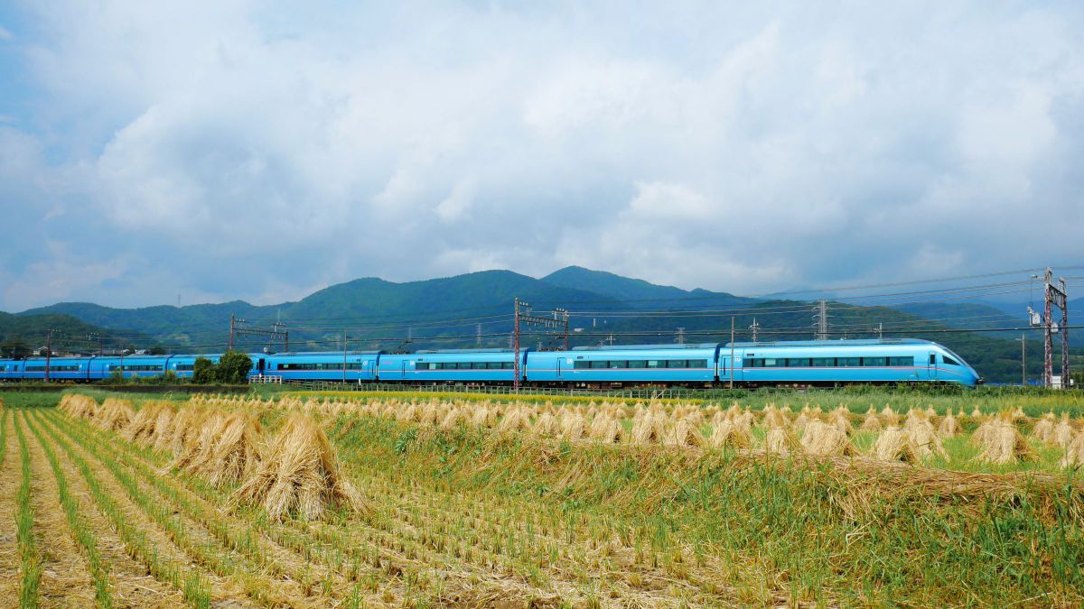 さんかく帽子とMSE | GANREF