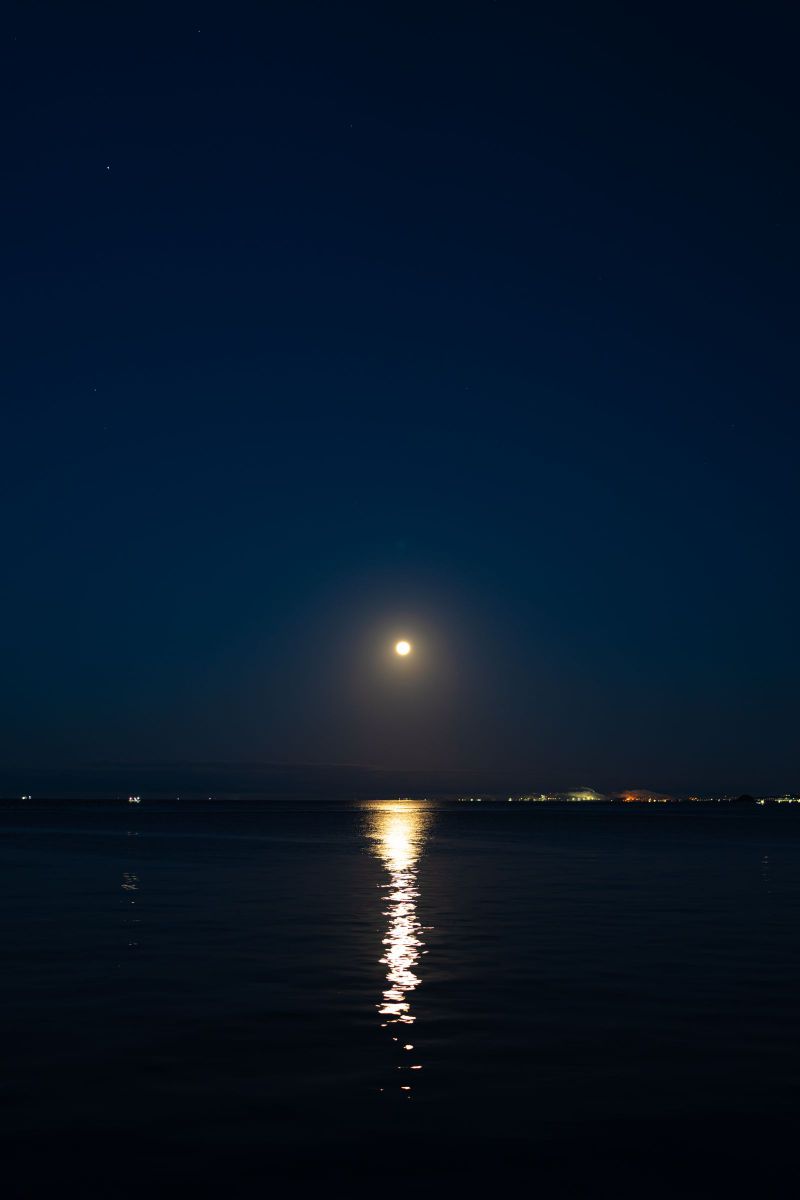 Light Dance | GANREF