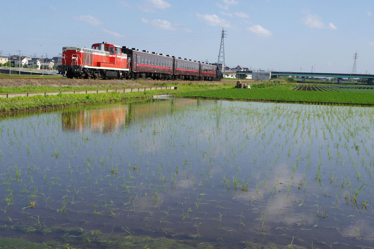DE10に曳かれ真岡へ6103レ | GANREF