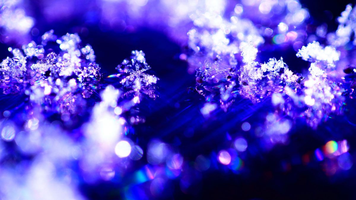 Snow Crystal | GANREF