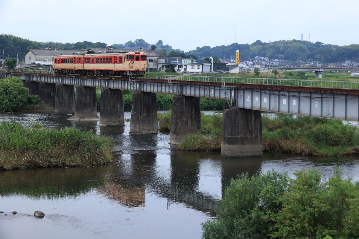 nostalgic colors | GANREF