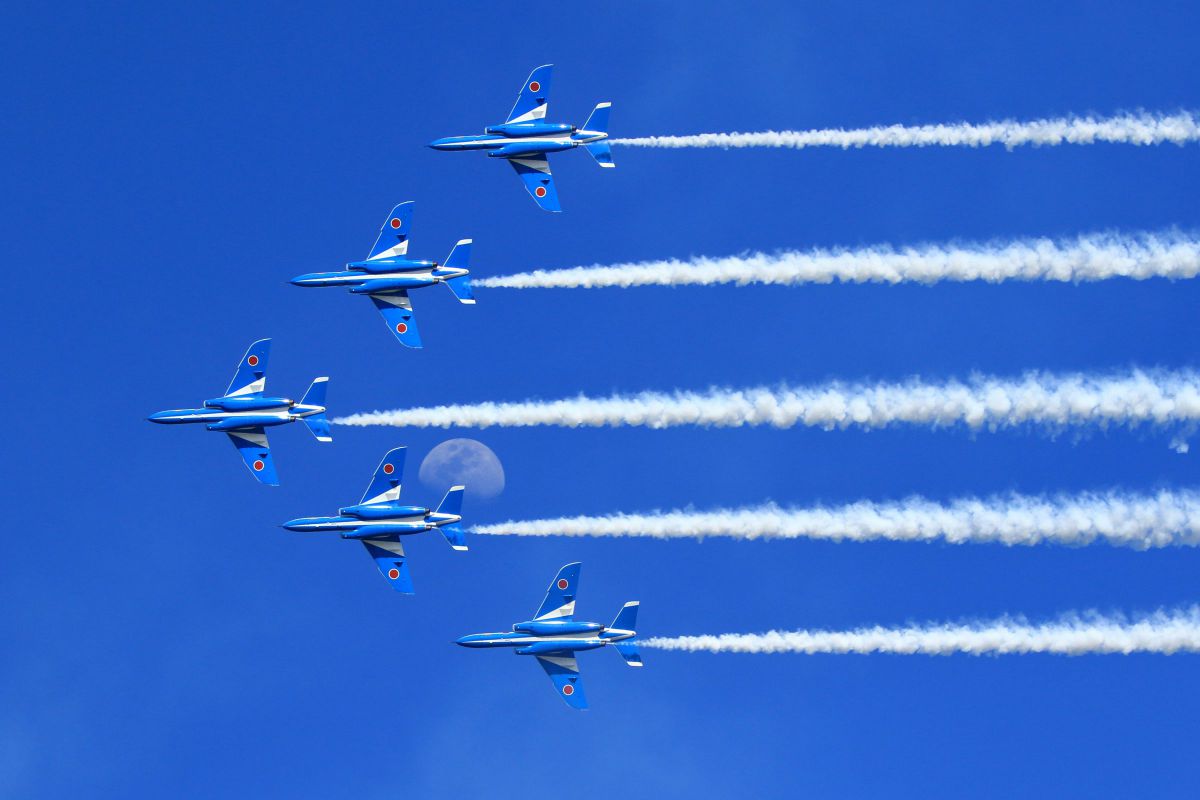 Catch the Moon | GANREF