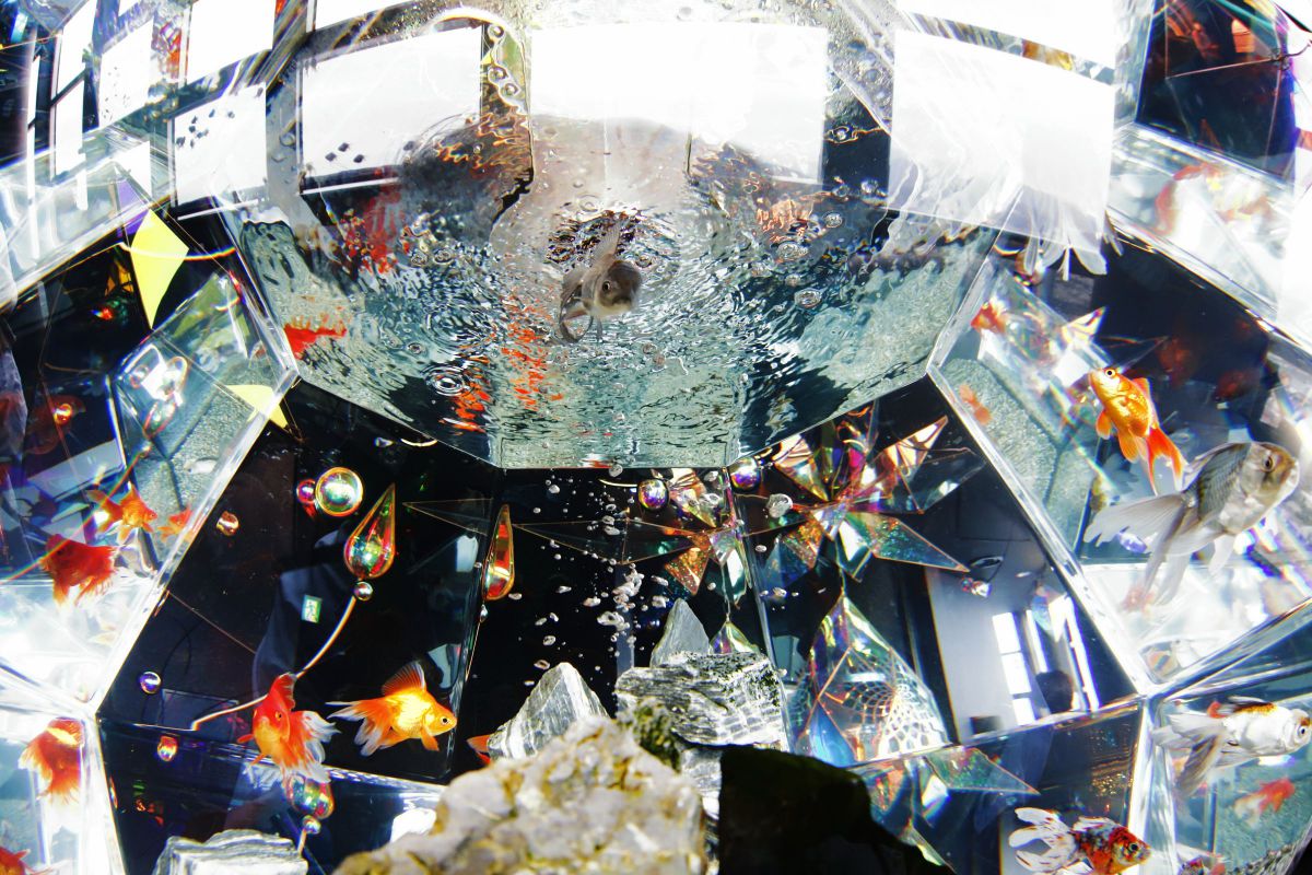 The Mysterious Space | GANREF