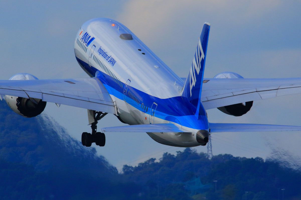 ANA787 Take Off | GANREF