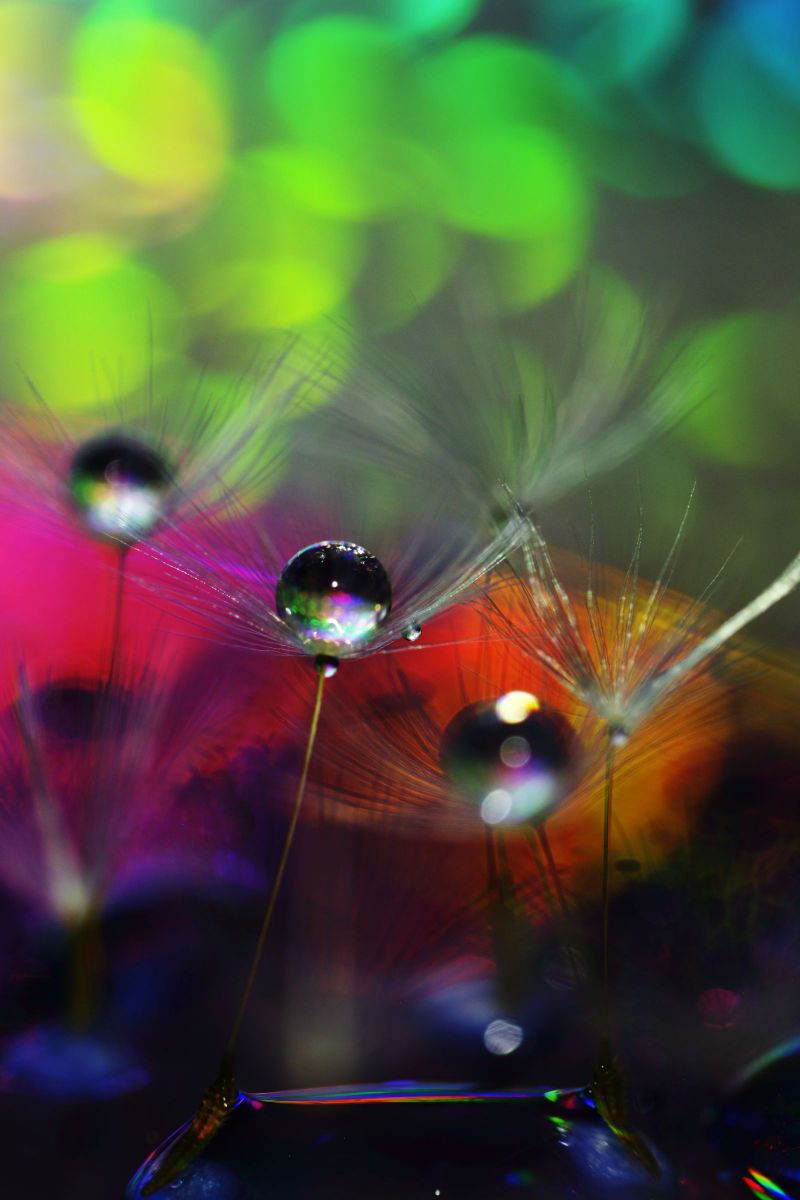 Water Crystal | GANREF