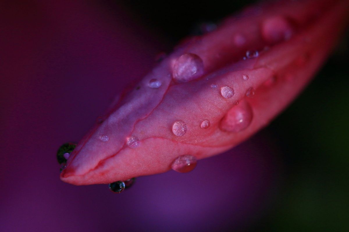 Mysterious object | GANREF