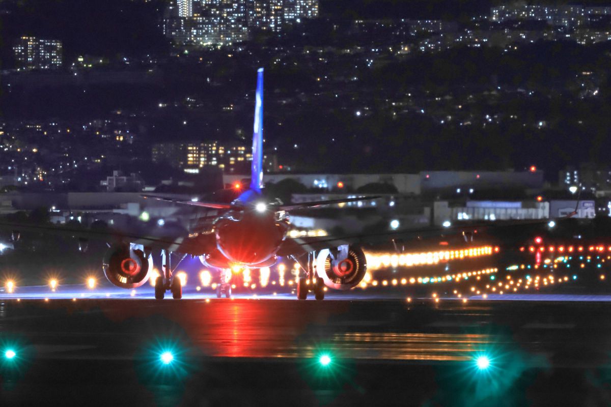 Line up Ⅱ | GANREF