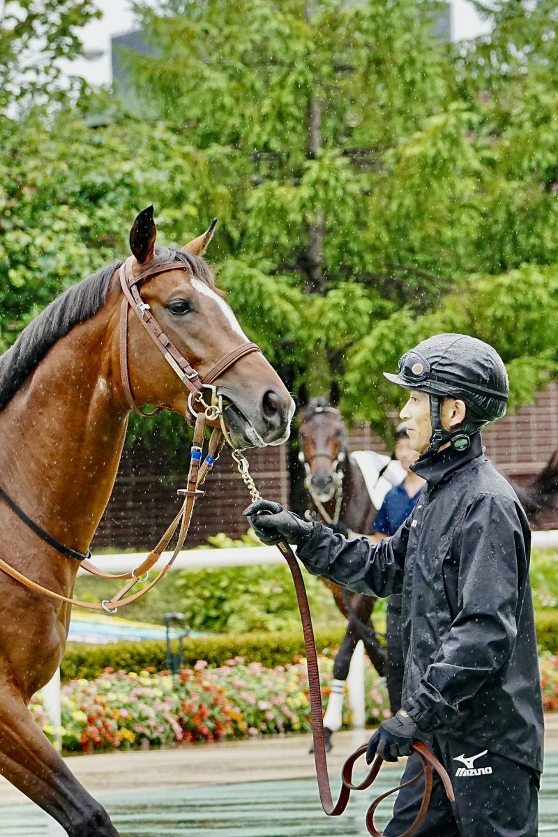 微笑み返し | GANREF