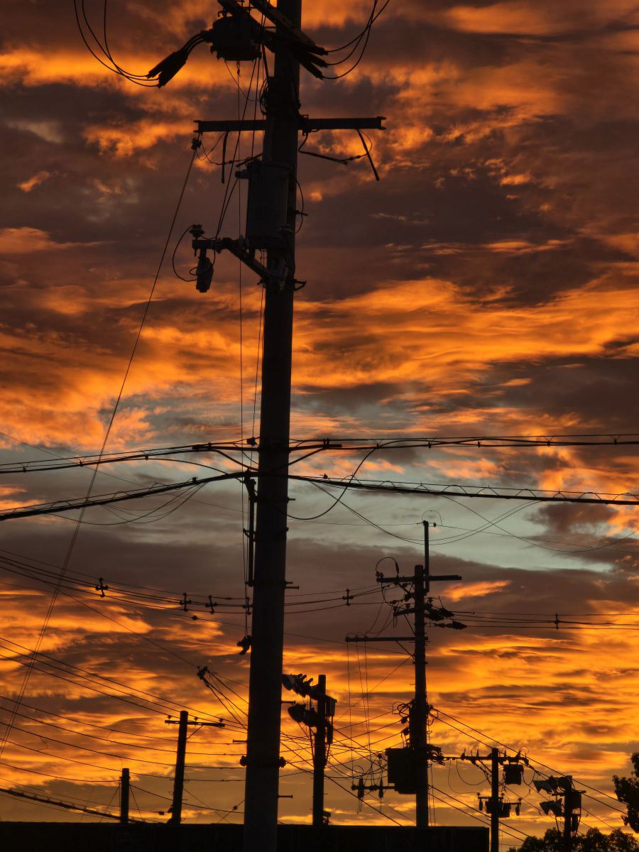 Morning.Glow | GANREF