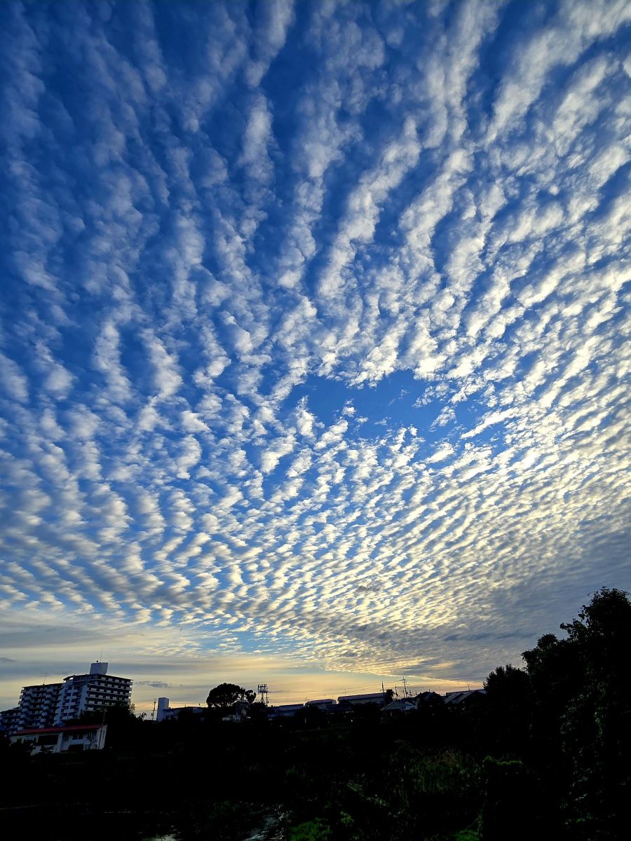 Cloud.scenery | GANREF