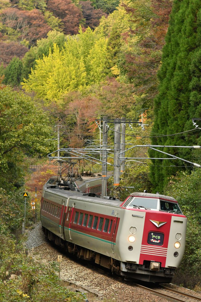 イチョウと共に | GANREF