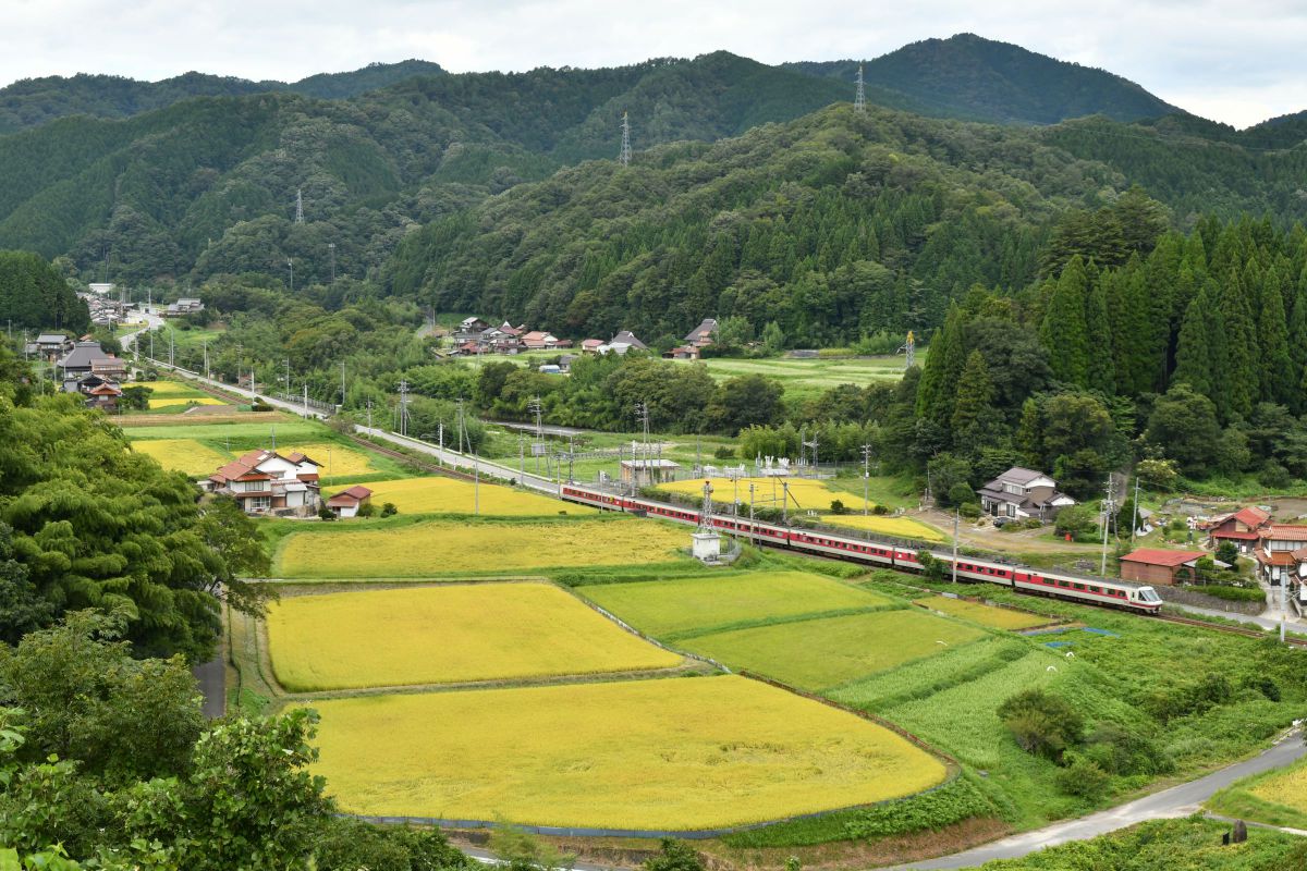 稲刈り時期の山間部をゆく381 | GANREF