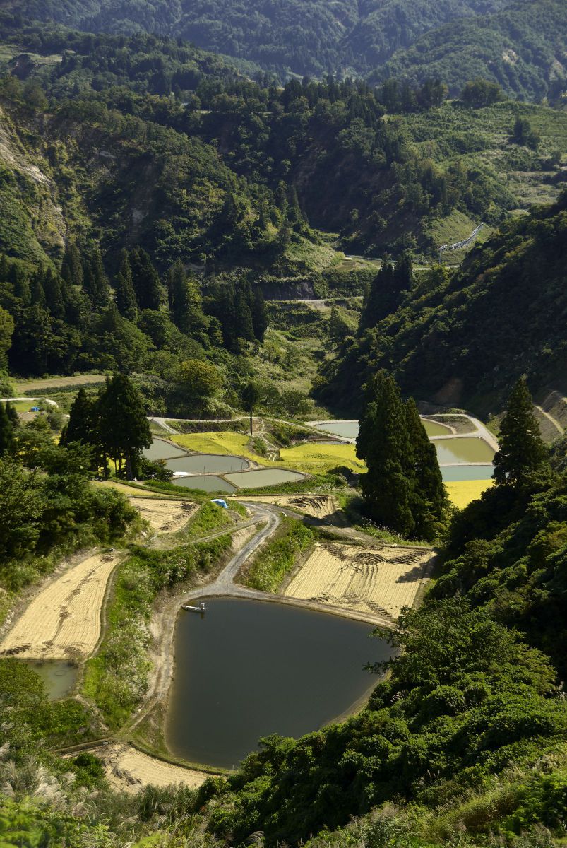 山古志村5 | GANREF