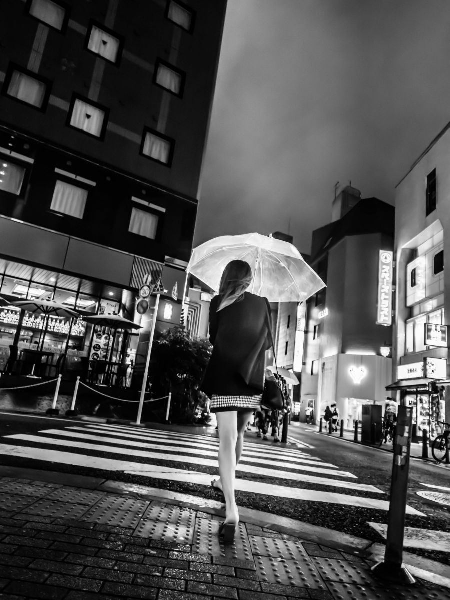 After the Restricted City V | GANREF