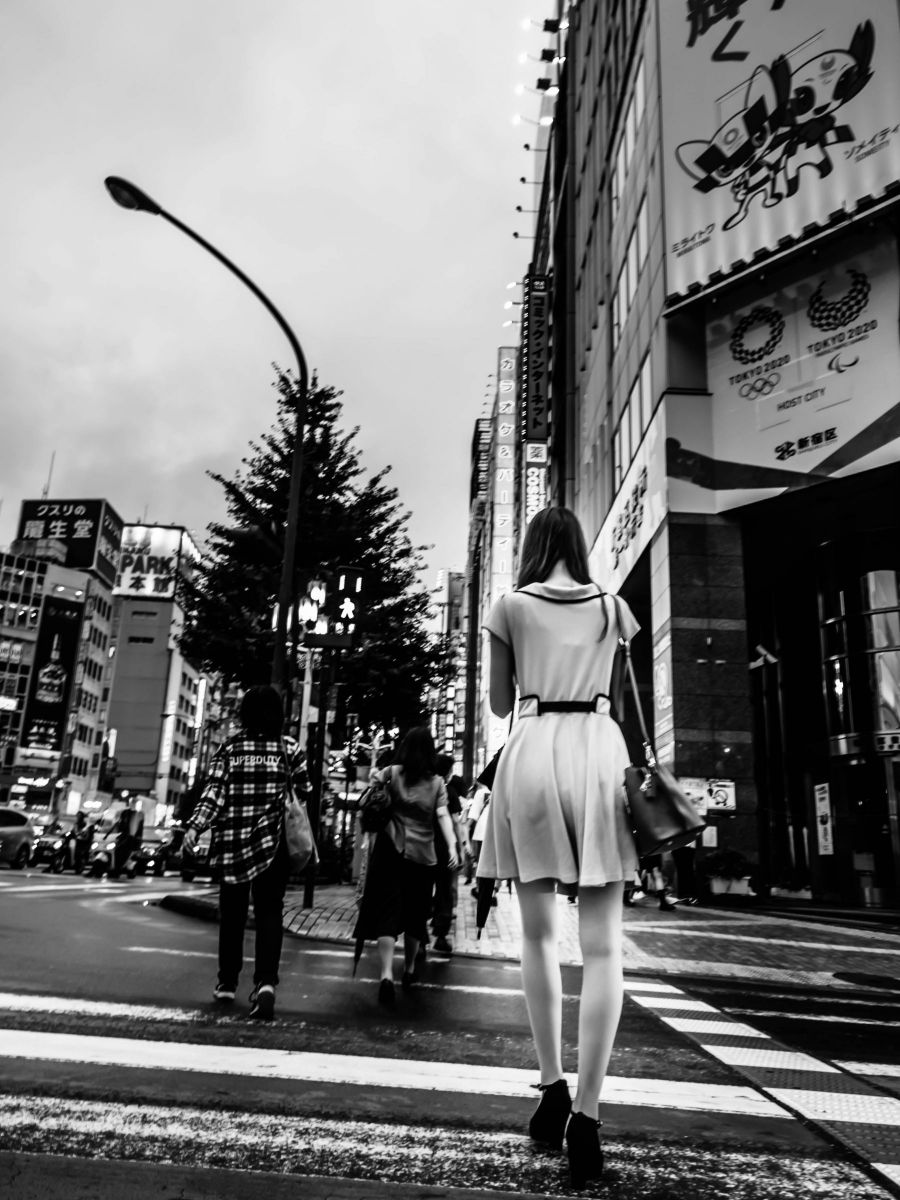 Restricted City under the Cloud | GANREF