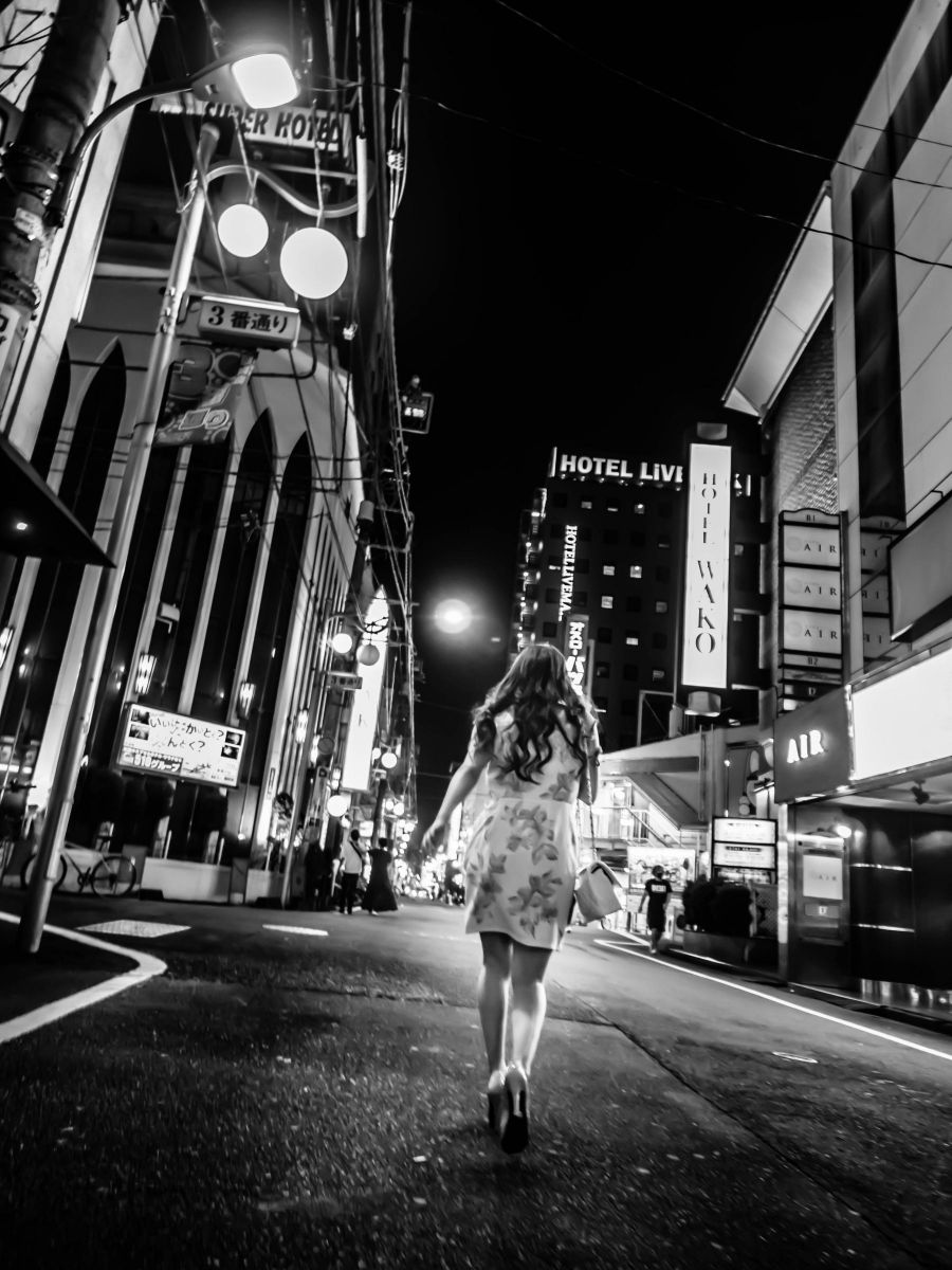 After the Restricted City II | GANREF