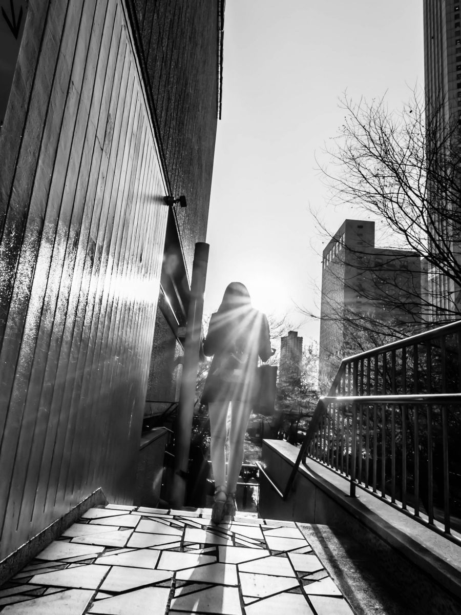 Spring Sun Shine | GANREF