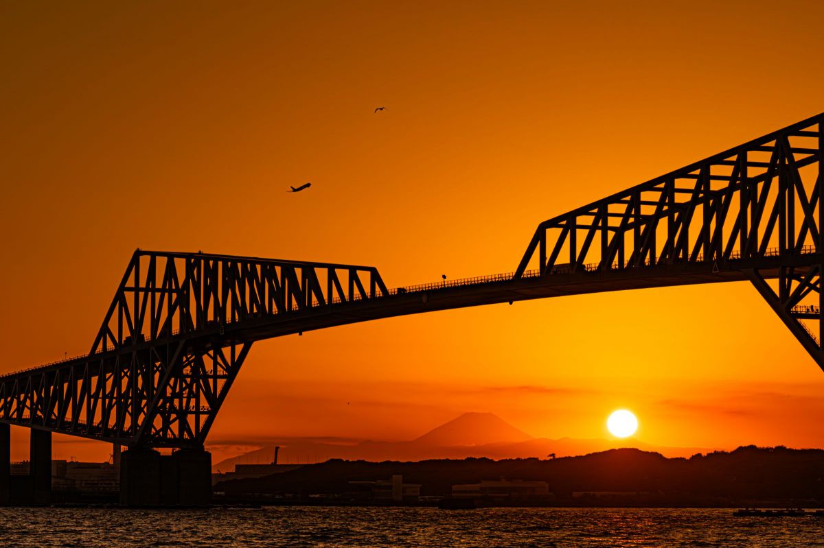 てんこ盛り丼 | GANREF