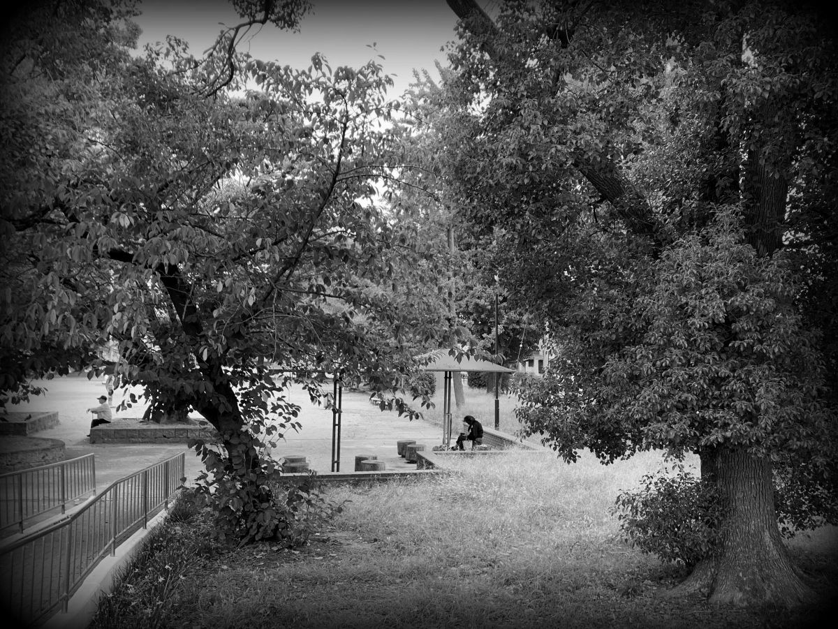 「Human Touch」 | GANREF