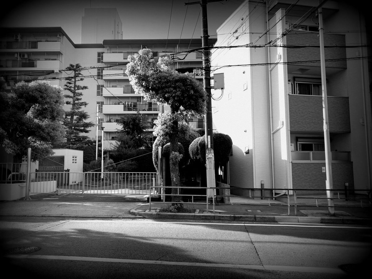 We Are Not Alone | GANREF