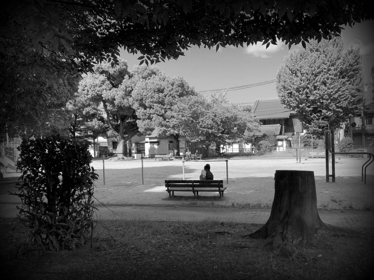 「The Dangling Conversation」 | GANREF