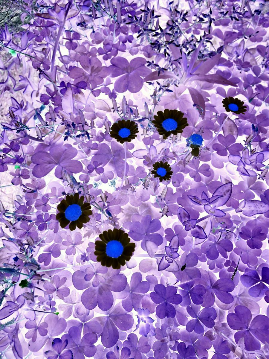 Jewelry Box | GANREF