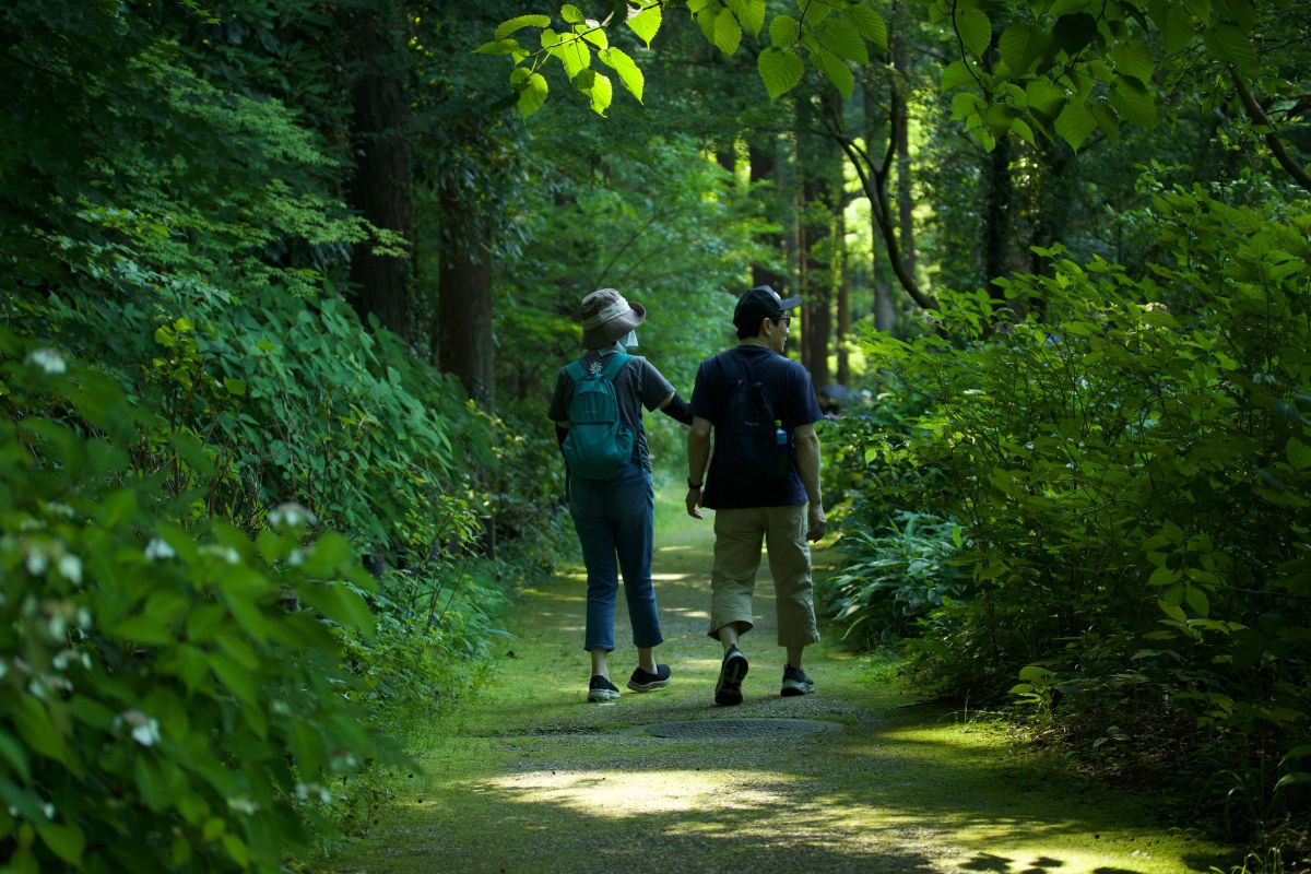 Just The Two Of Us | GANREF