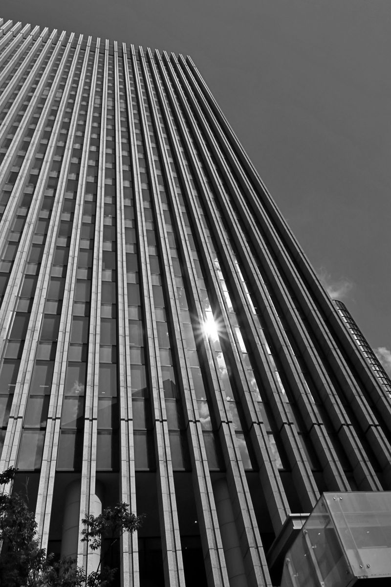 Star＆Stripe | GANREF