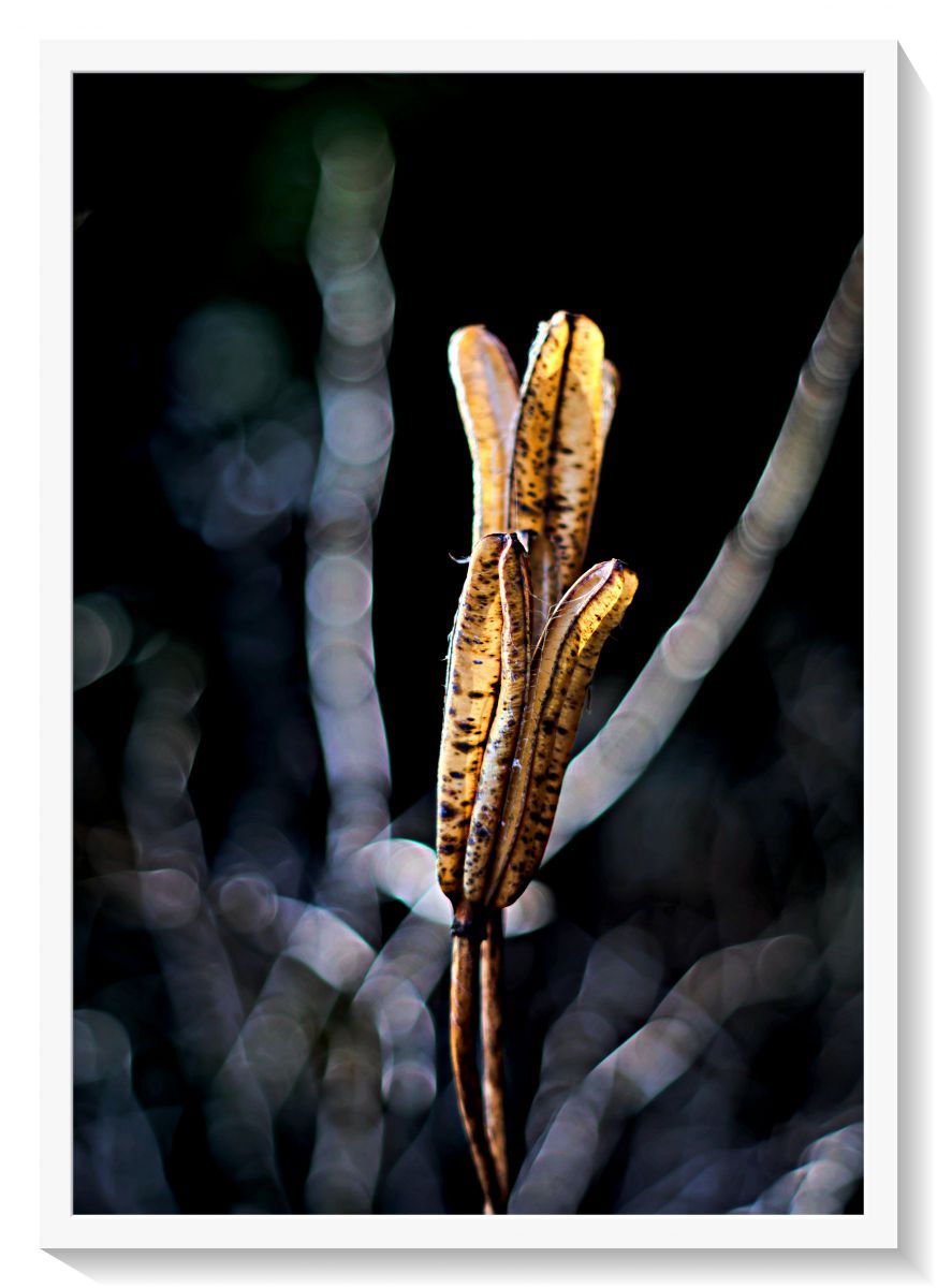 冬枯れ Ver2 | GANREF