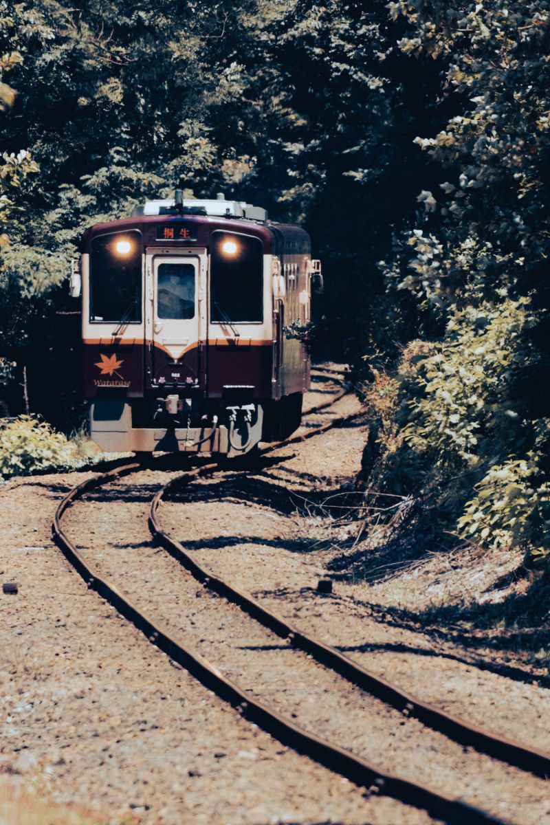 cinematic train | GANREF