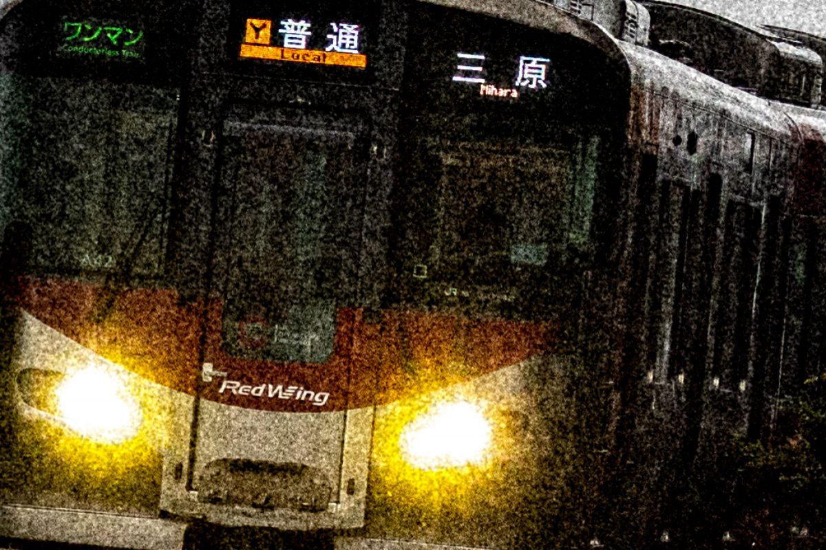 shine in the storm | GANREF