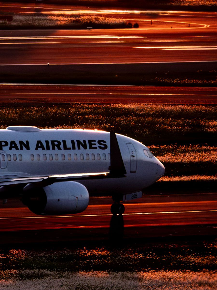 evening flight | GANREF