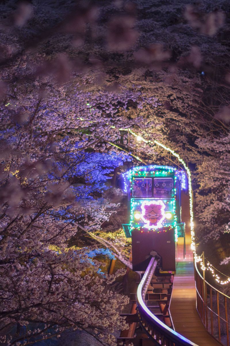 夜を走る | GANREF