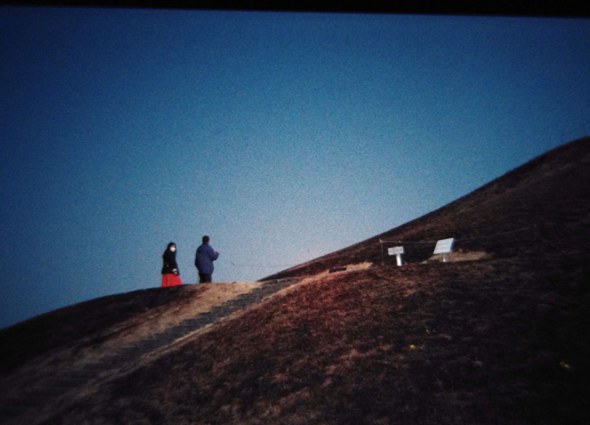 2023_0309_091428_005.JPG | GANREF