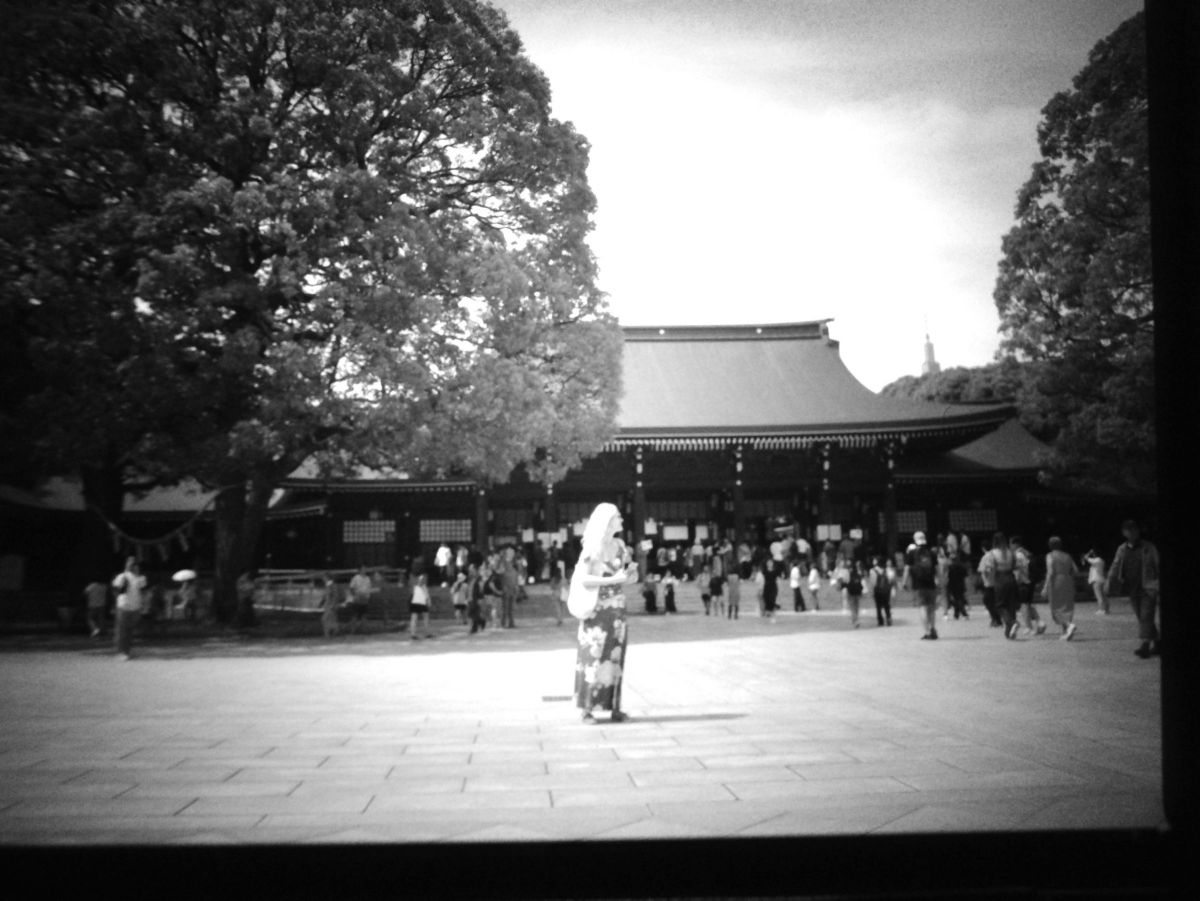 Sightseeing 2 | GANREF