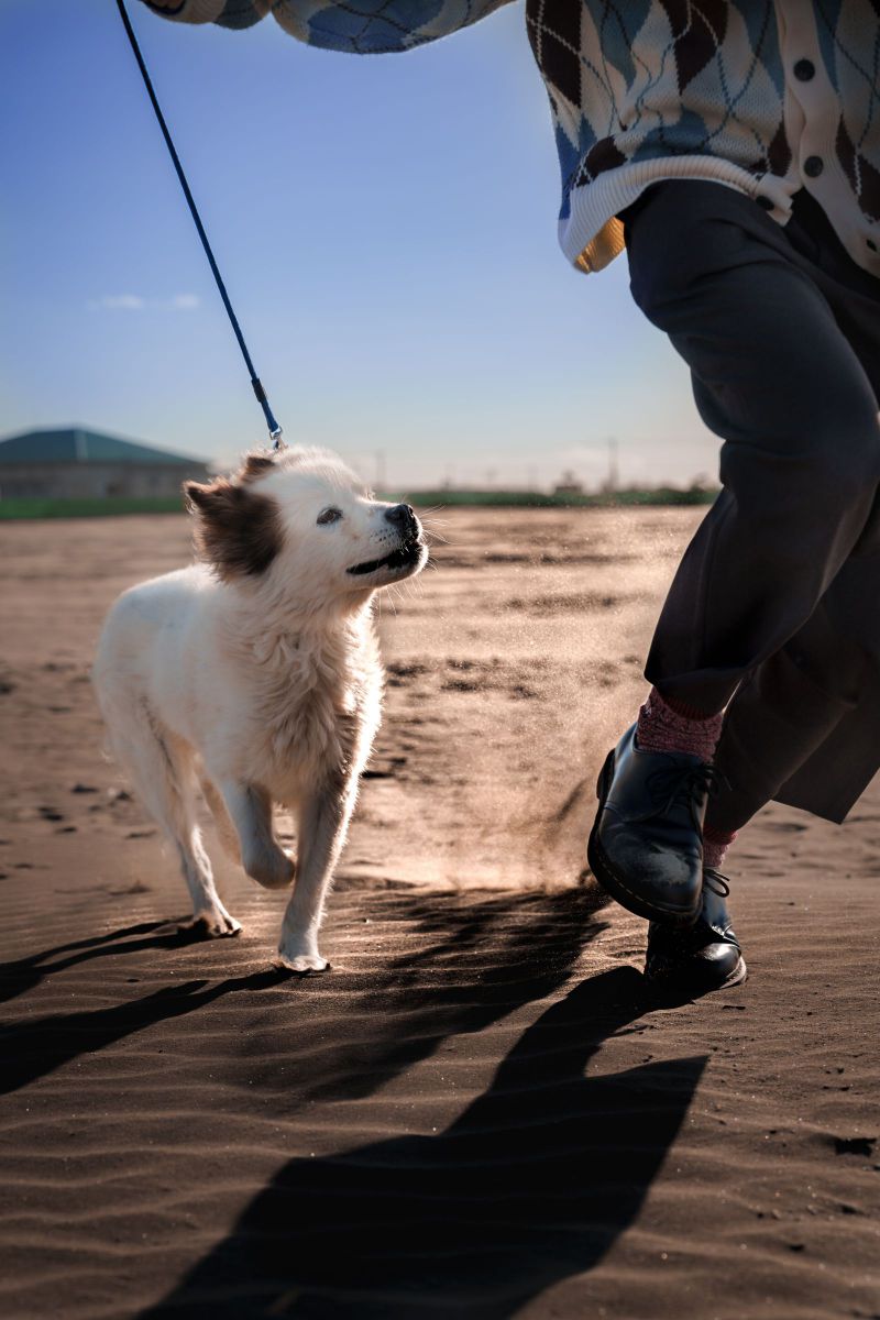 Running on the Beach | GANREF