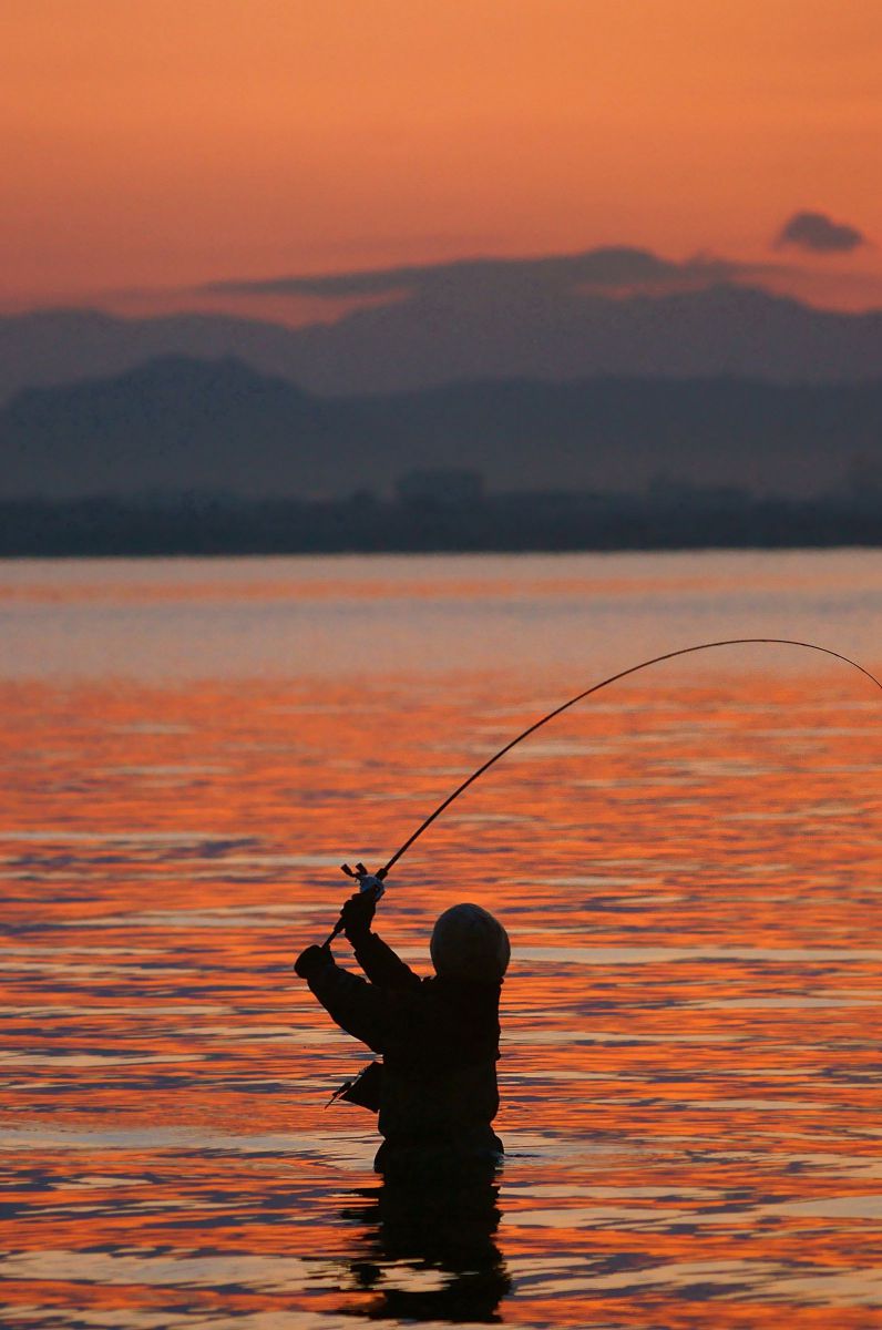 渾身の一投 | GANREF