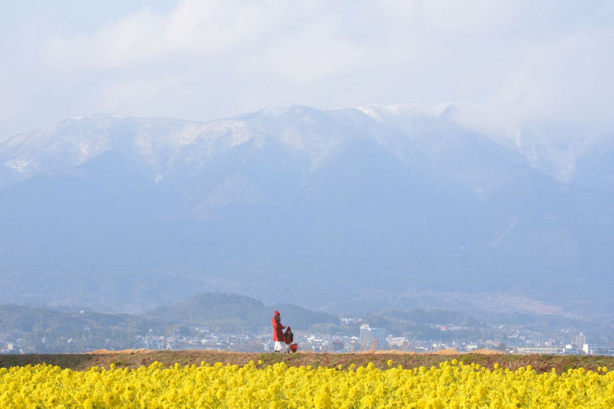 ONE・POINT | GANREF