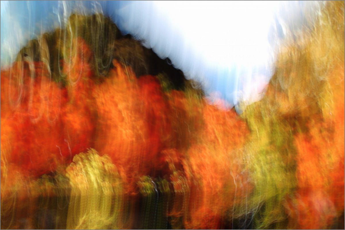 ICM写真 002.jpg | GANREF