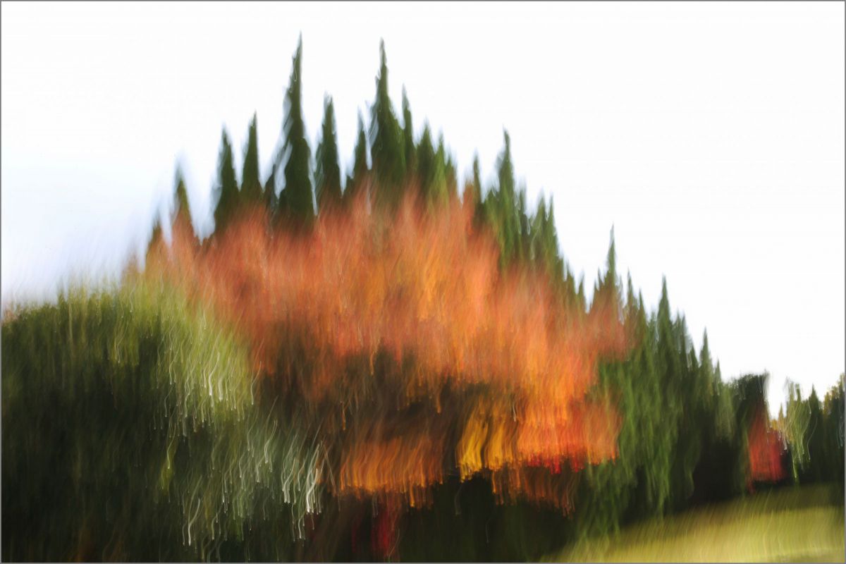 ICM写真 003.jpg | GANREF