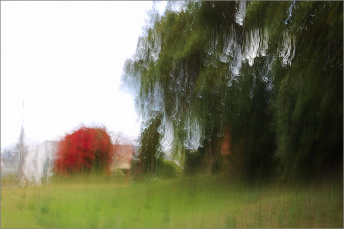 ICM写真 004.jpg | GANREF