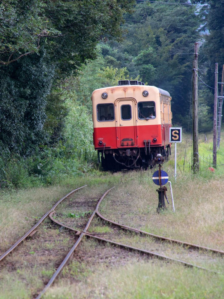 ガタンゴトン | GANREF