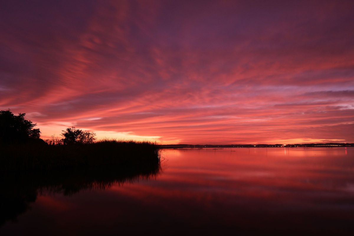 morning glow | GANREF