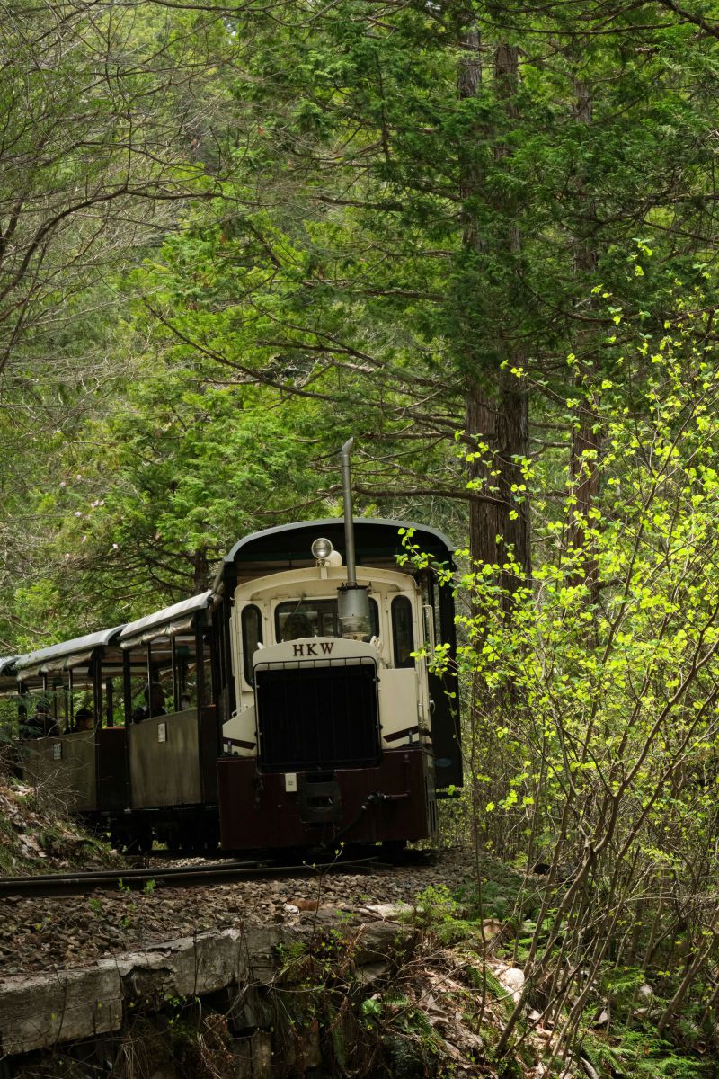 新緑鉄道r | GANREF