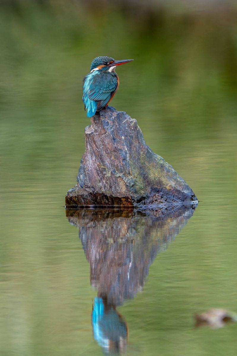 Reflective Blue | GANREF