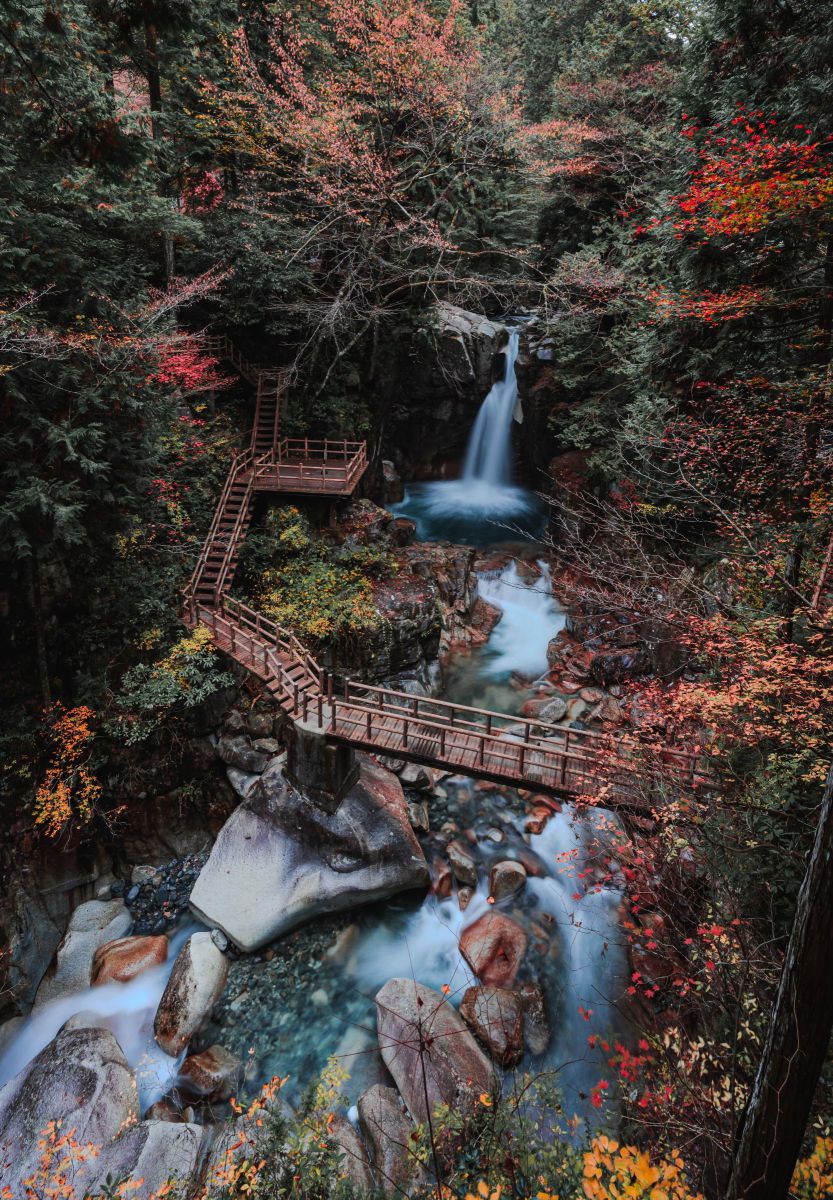 秋色に染まる竜神の滝 | GANREF