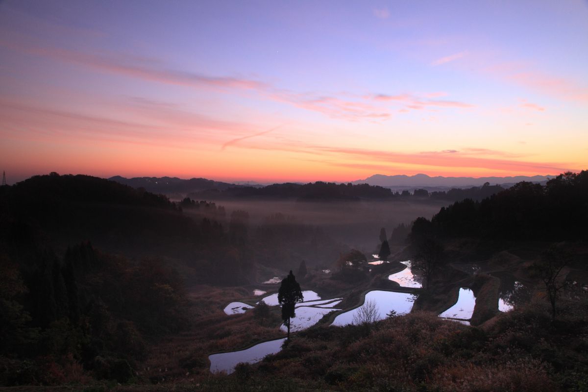 DPPの新機能 HDR及び仕上げ効果機能を試す。 | GANREF